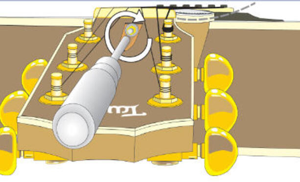 Truss Rod Adjustments – Taylor Guitars