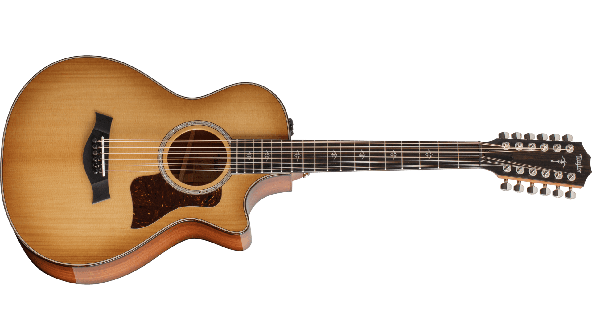 Taylor 12 String Acoustic Electric Guitar Deals
